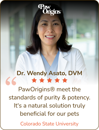 Visual Signs of Dog Labor | Canine Birthing Guide (2025) – Paw Origins