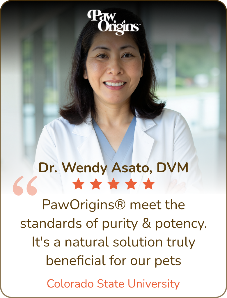 Bone Broth for Dog Liver Health: Natural Support That Works – Paw Origins