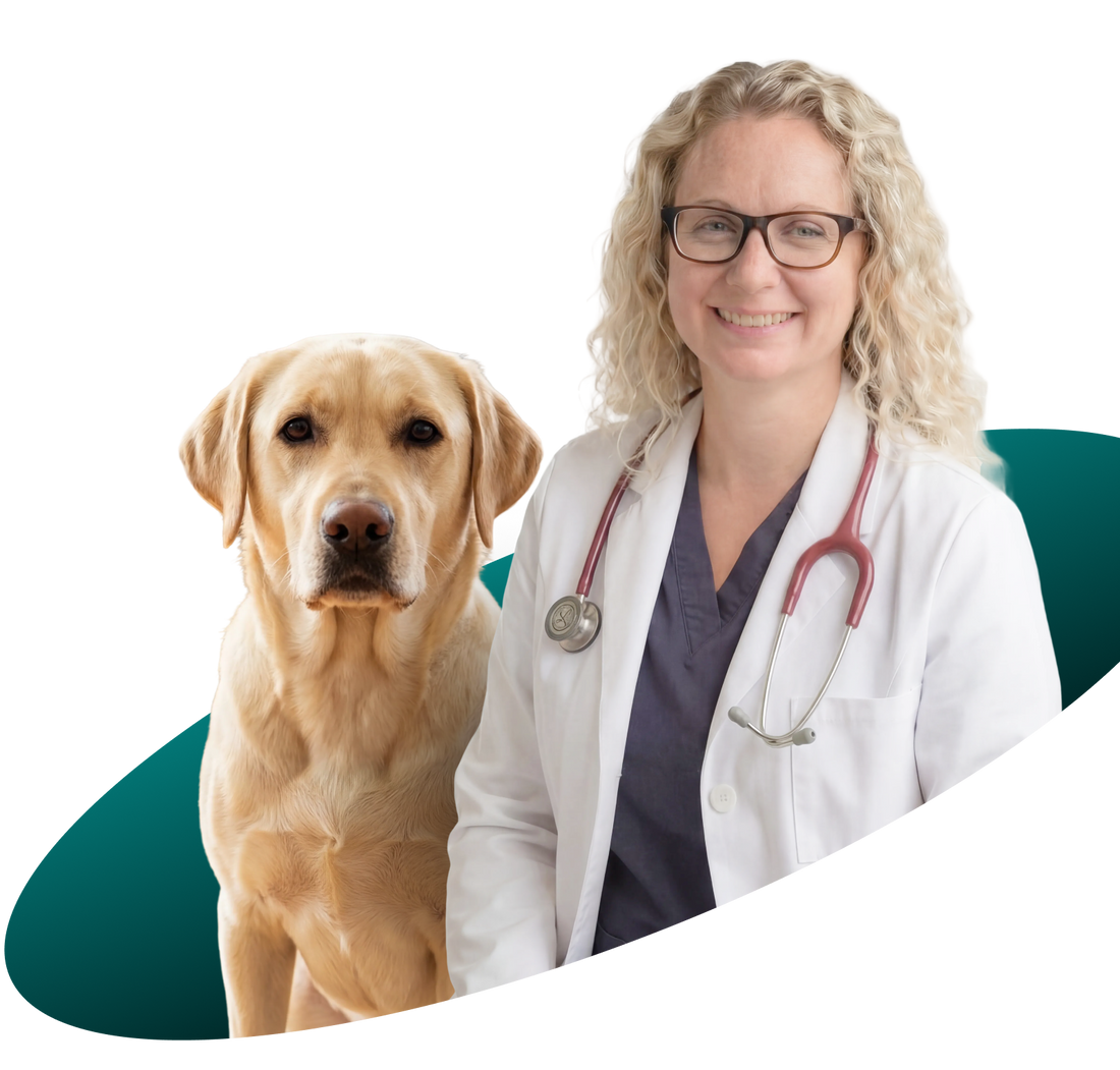 CBD Dog Oil | Happy-Furever | Paw Origins