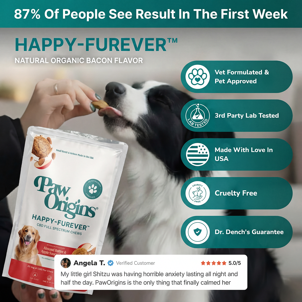 Visual Signs of Dog Labor | Canine Birthing Guide (2025) – Paw Origins